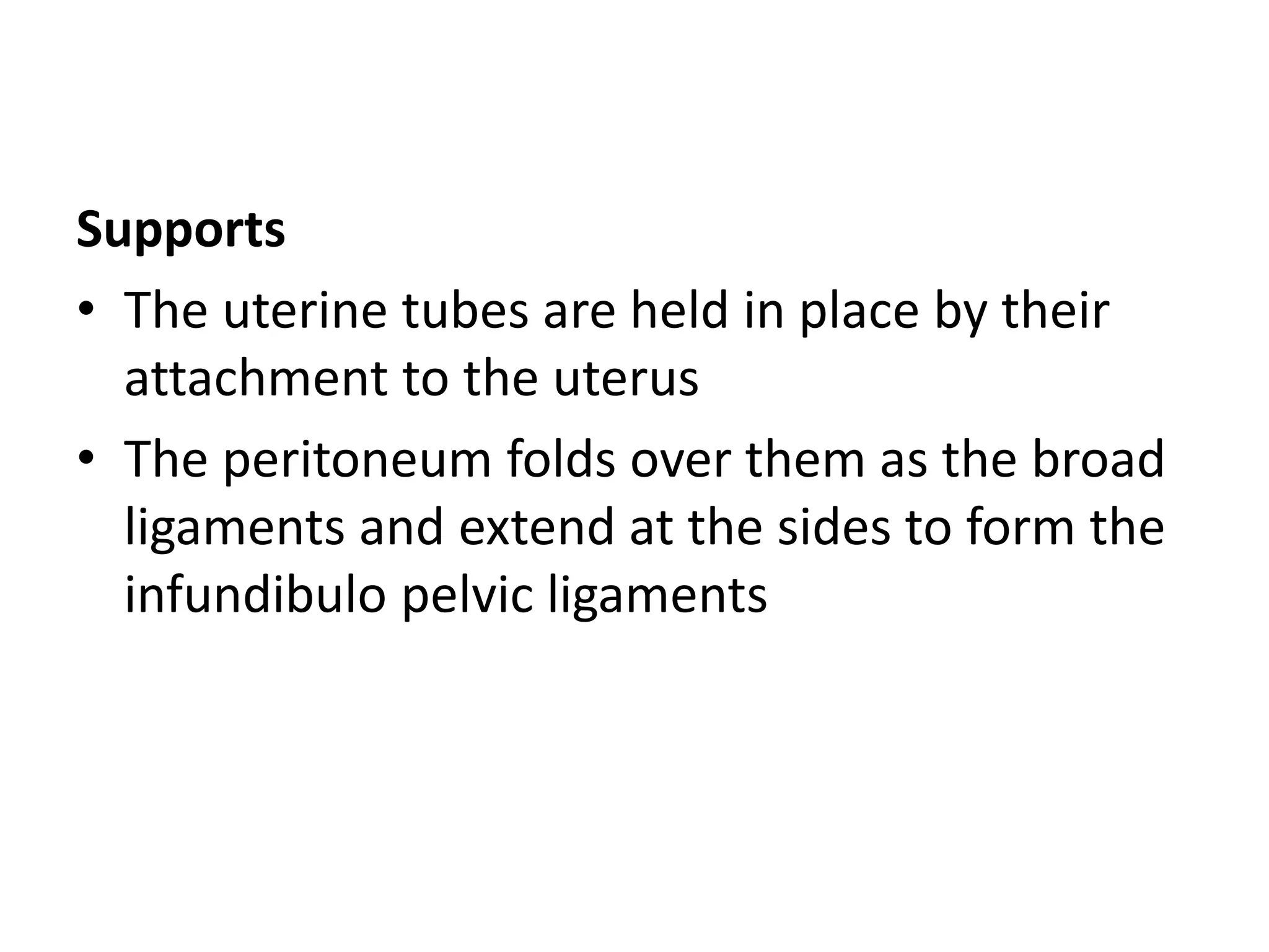 (iii) The internal Female Reproductive Organs (Fallopian Tube and ...