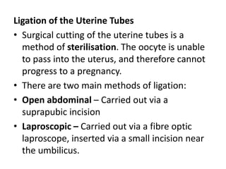 (iii) The internal Female Reproductive Organs (Fallopian Tube and ...