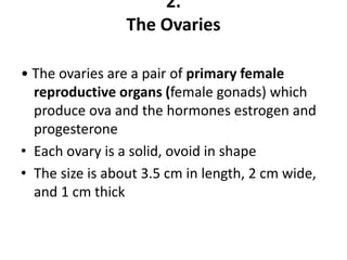 (iii) The internal Female Reproductive Organs (Fallopian Tube and ...