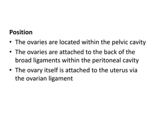 (iii) The internal Female Reproductive Organs (Fallopian Tube and ...