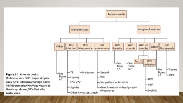 IIM- How to diagnose Uveitis.pptx