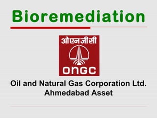 Details OF bioremediation and Oilzapper Technology | PPT