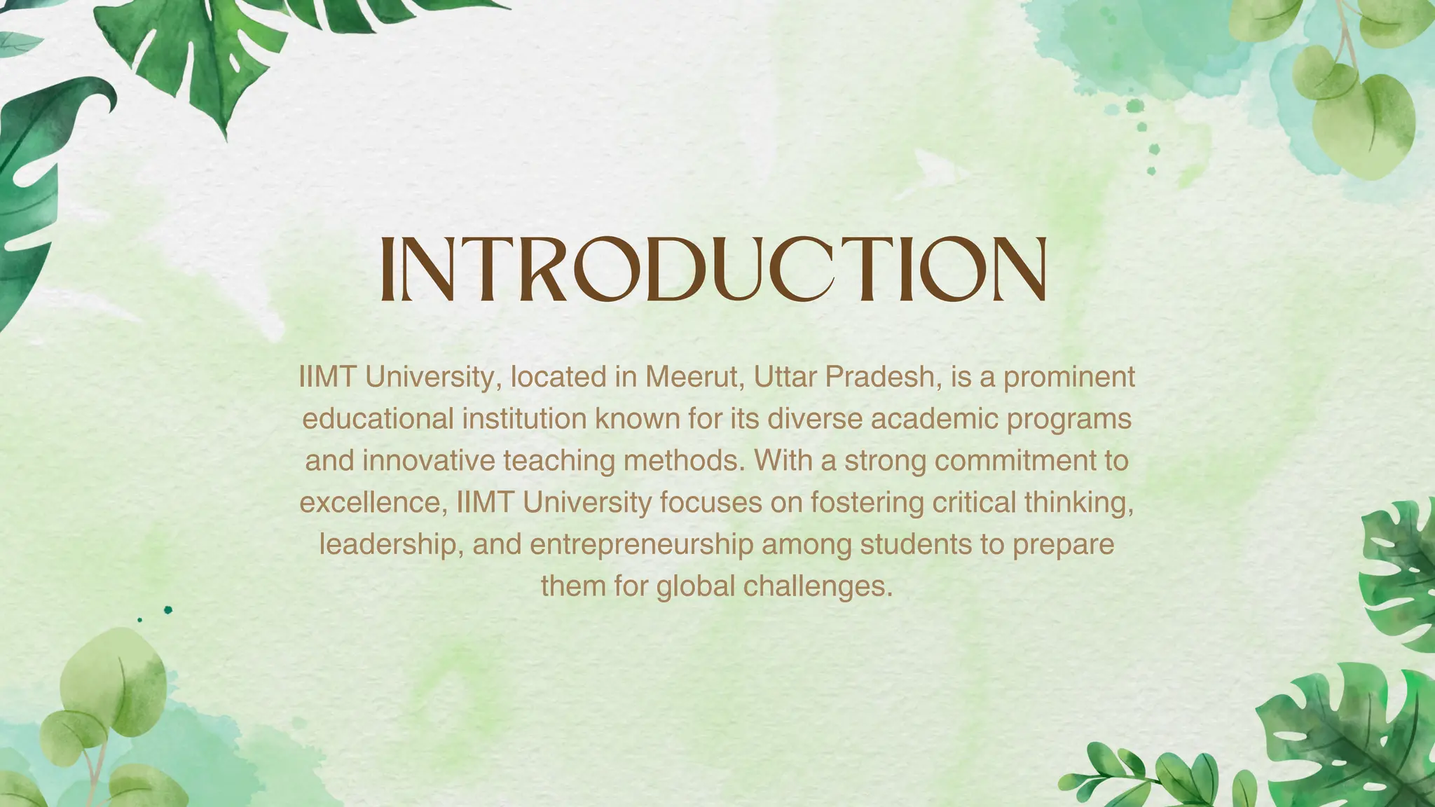Discovering the IIMT University Meerut.pdf