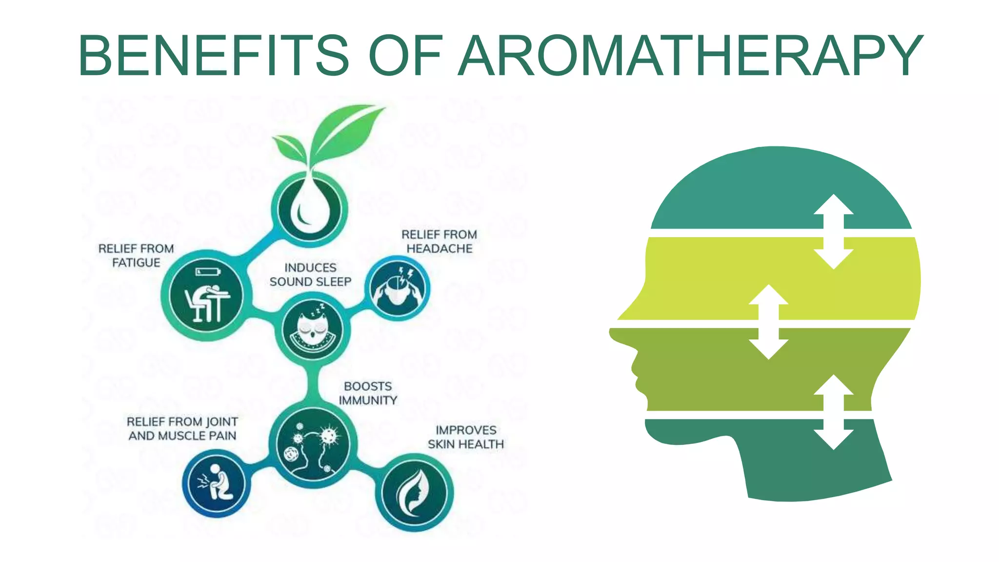 HERBS USED IN AROMATHERAPY | PPTX