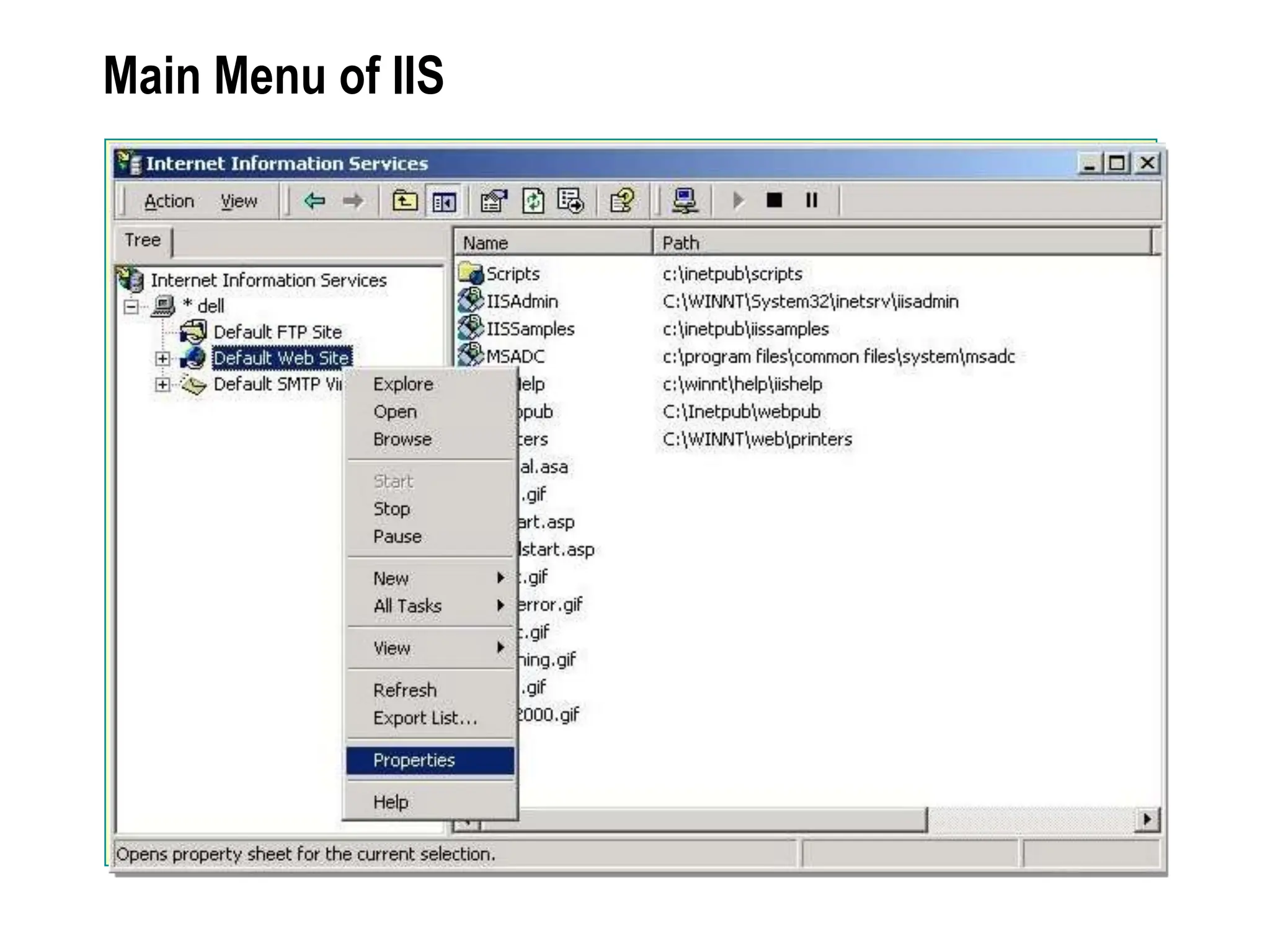 IIS internet information service NSA.ppt