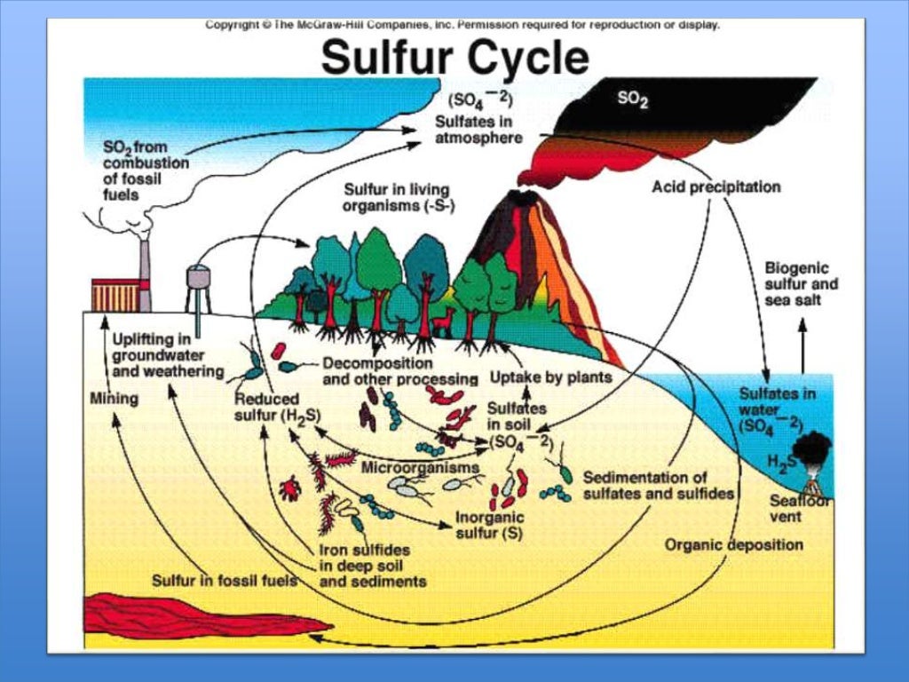 The role of Sulphate reducing Bacteria in Ground water management: an…