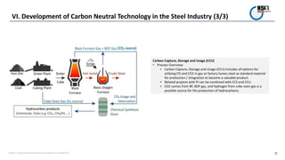 Conditions Towards a National Steel Industry Decarbonization.pdf