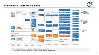 Conditions Towards a National Steel Industry Decarbonization.pdf