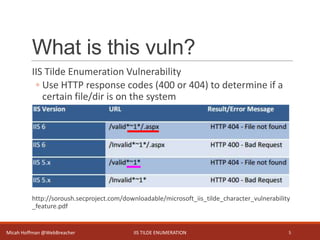 IIS Tilde Enumeration Vulnerability | PPTX | Programming Languages | Computing