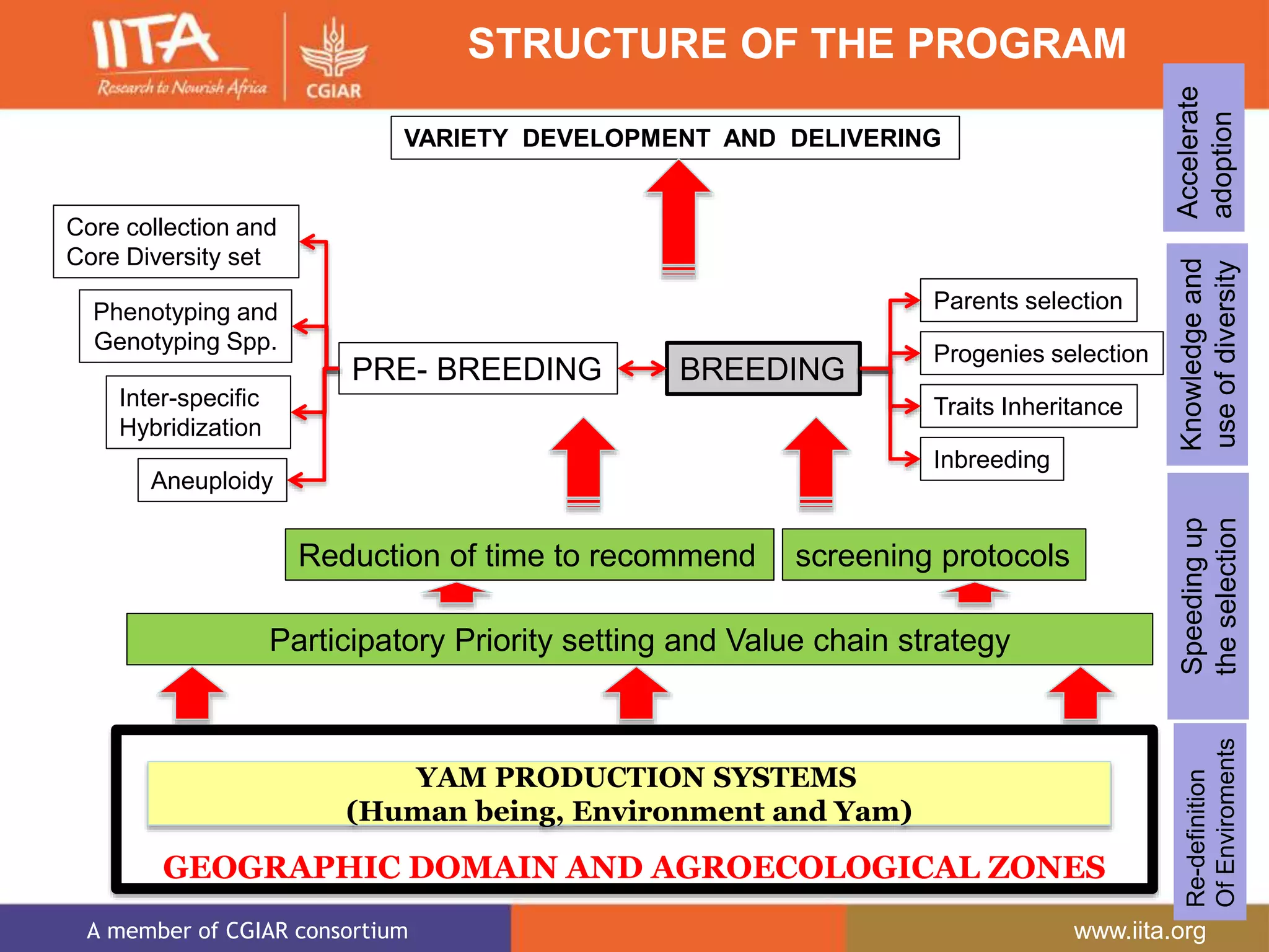 Iita yam breeding 2005-2015 | PPTX