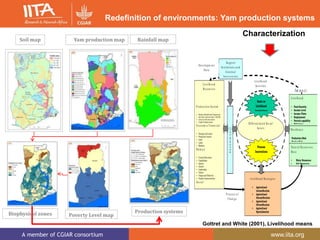 Iita yam breeding 2005-2015 | PPTX