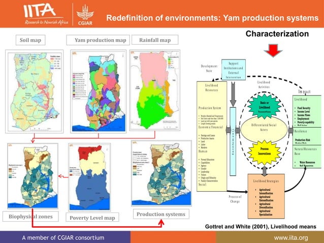 Iita yam breeding 2005-2015 | PPTX