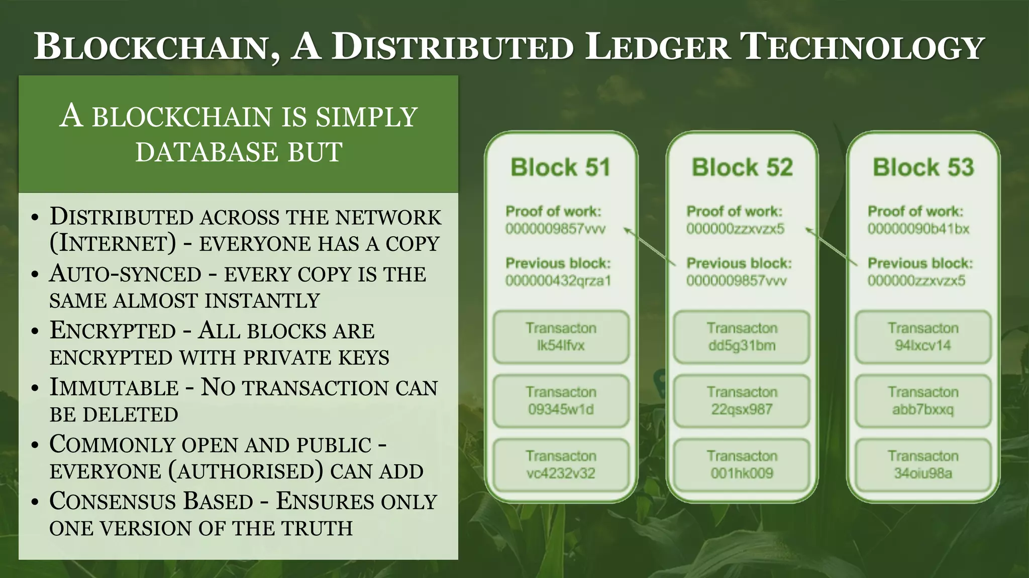 Digitalization of Agriculture | PDF