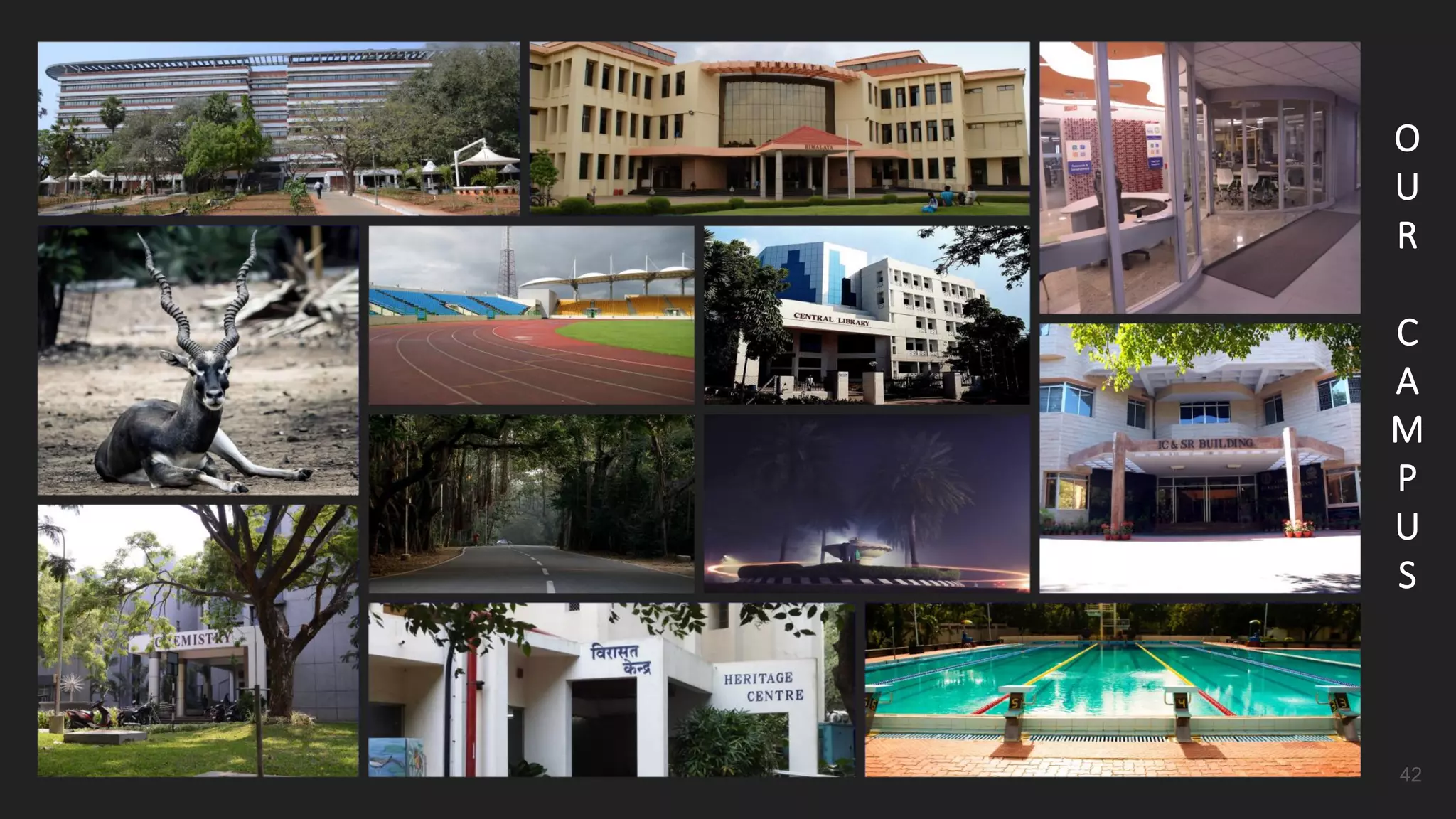 IITM-PRESENTATION.pdf