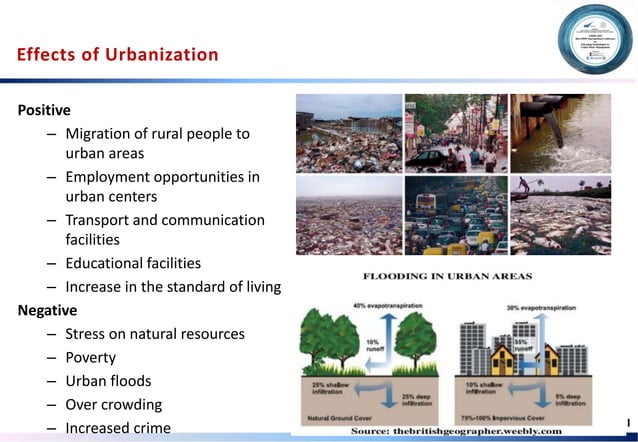 IIT Roorkee Presentation.pptx | Geography | Science