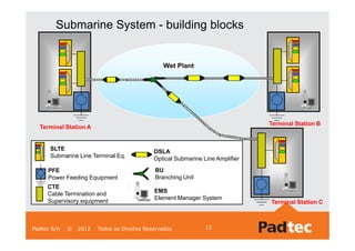 Submarine Amplifiers and Systems | PDF | Computer Networking | Computing