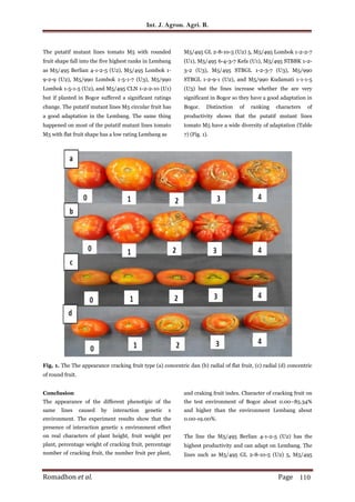 Interaction genetic x environment putatif mutant lines tomato M5 on two agro ecosystems | PDF