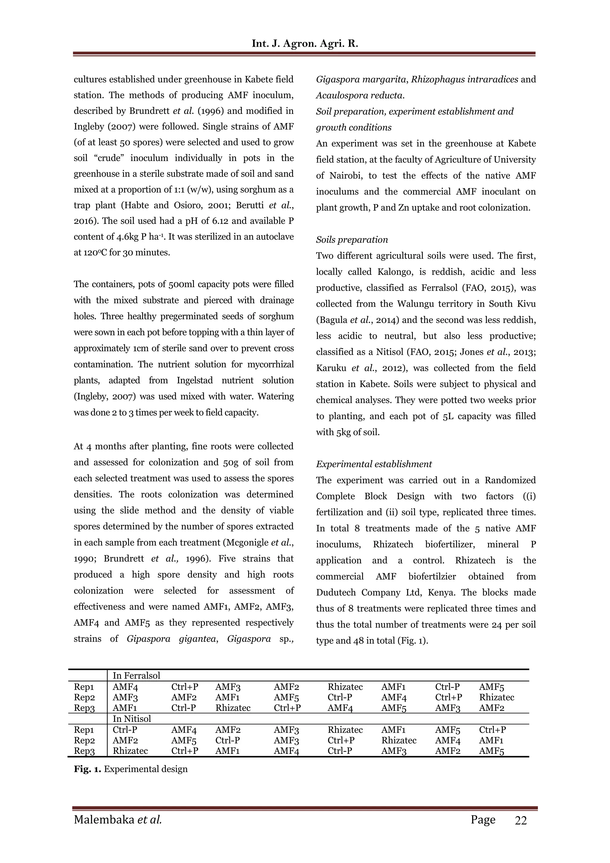 Role of native arbuscular mycorrhizal fungi on maize (Zea mays) growth and nutrient uptake in ...
