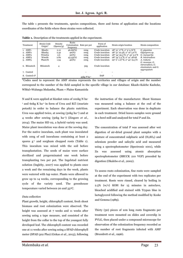 Role of native arbuscular mycorrhizal fungi on maize (Zea mays) growth and nutrient uptake in ...