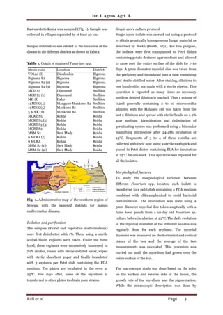Characterization of Fusarium spp associated with mango malformation ...