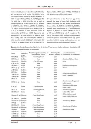 Characterization of Fusarium spp associated with mango malformation ...