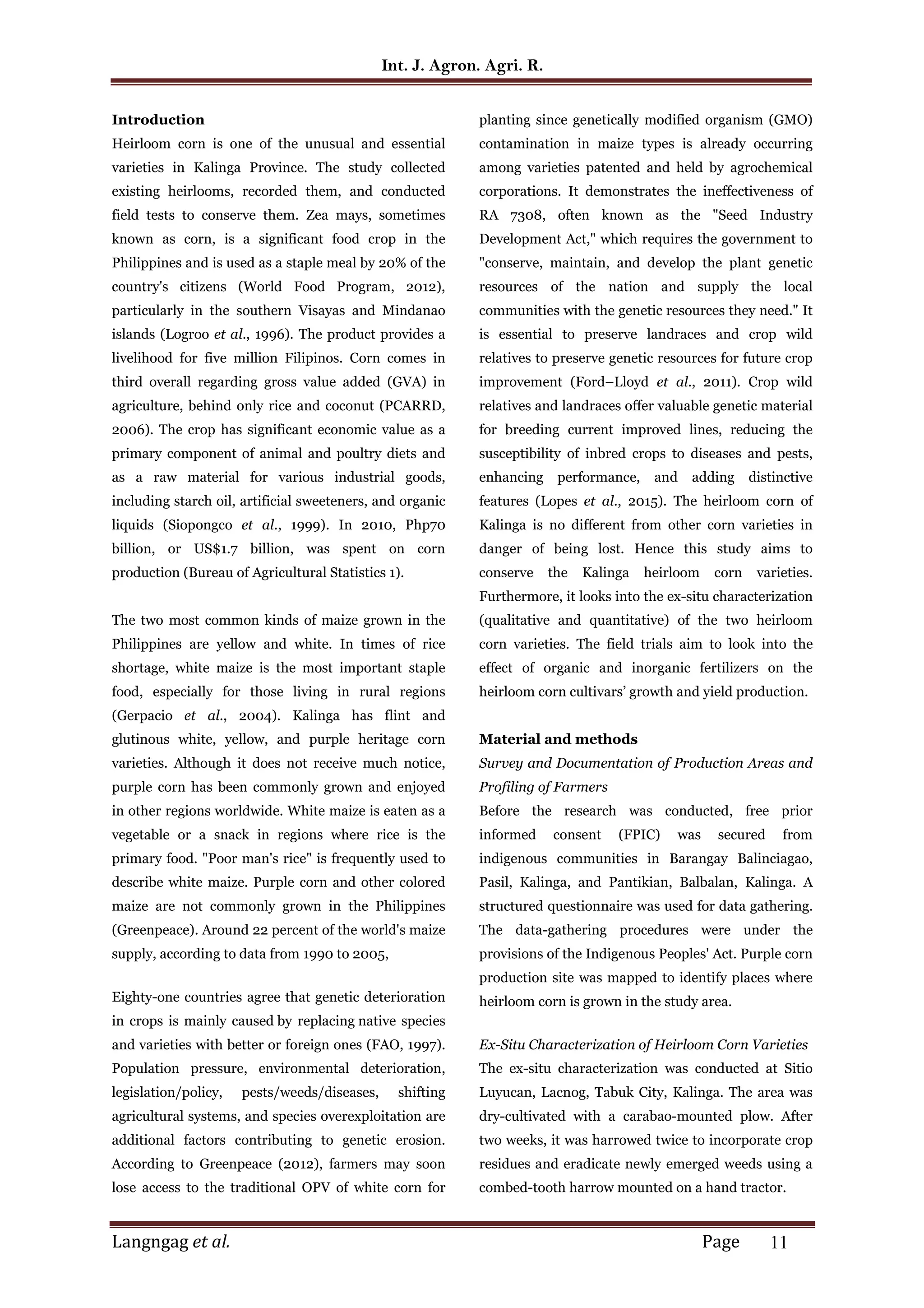 Saving the heirloom Corn varieties of Kalinga Province | PDF