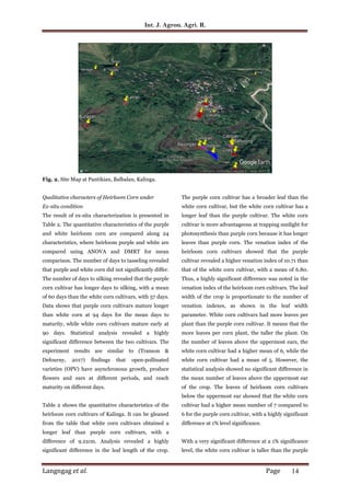 Saving the heirloom Corn varieties of Kalinga Province | PDF