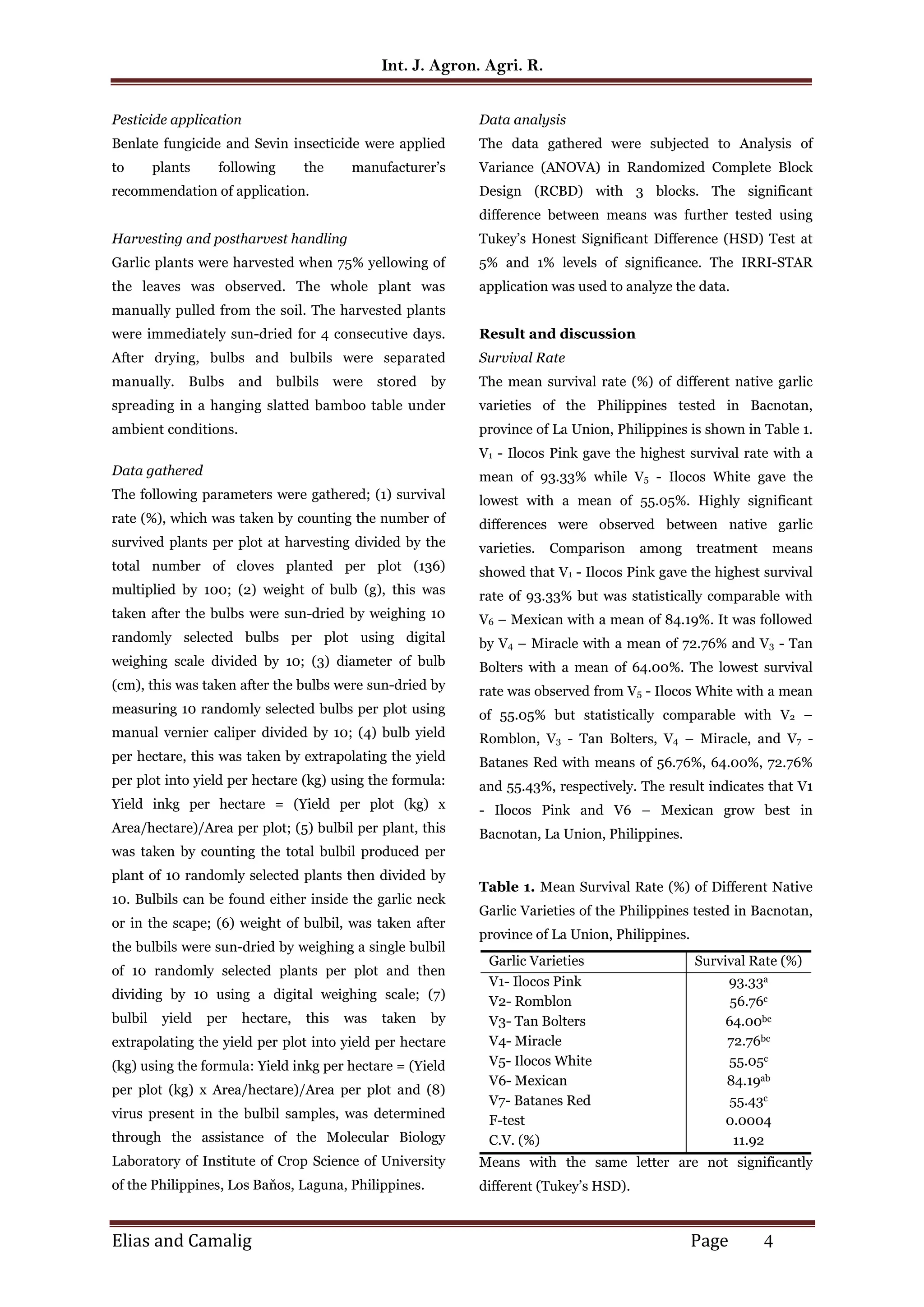 Growth and yield performance and viral disease screening of Philippine native garlic varieties ...