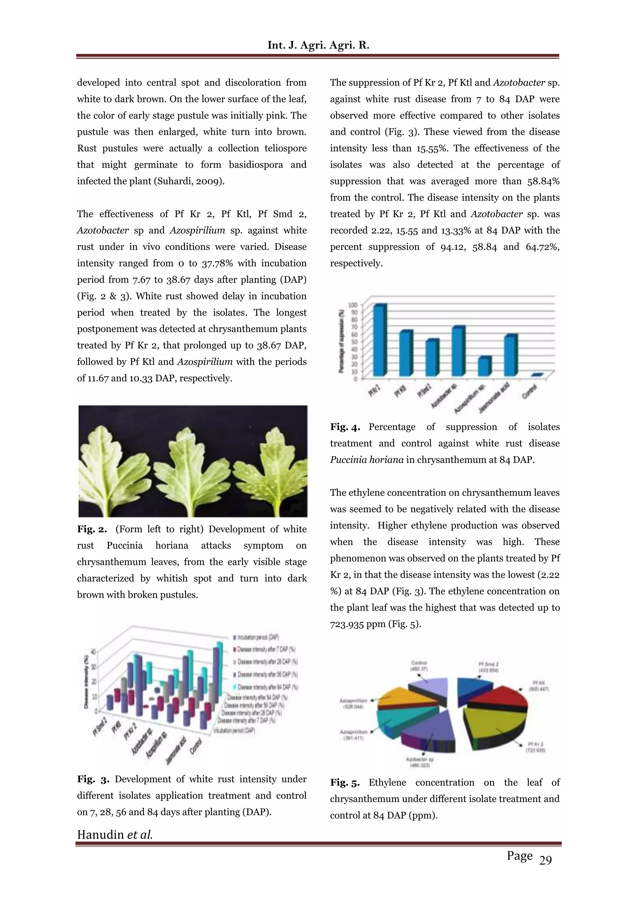 Pseudomonas fluorescens as plant growth promoting Rhizo- Bacteria and ...