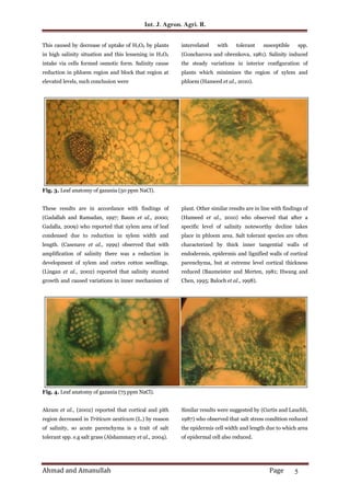 Effectiveness of various salinity on leaf growth of Gazania | IJAAR | PDF