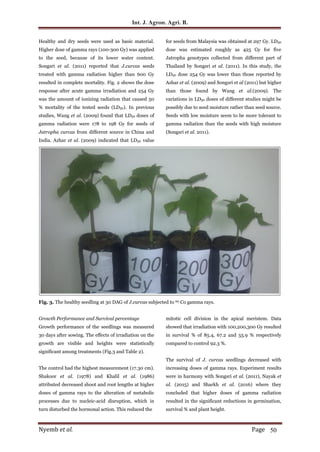 Effects of 60Co gamma radiation doses on seed germination of Jatropha ...