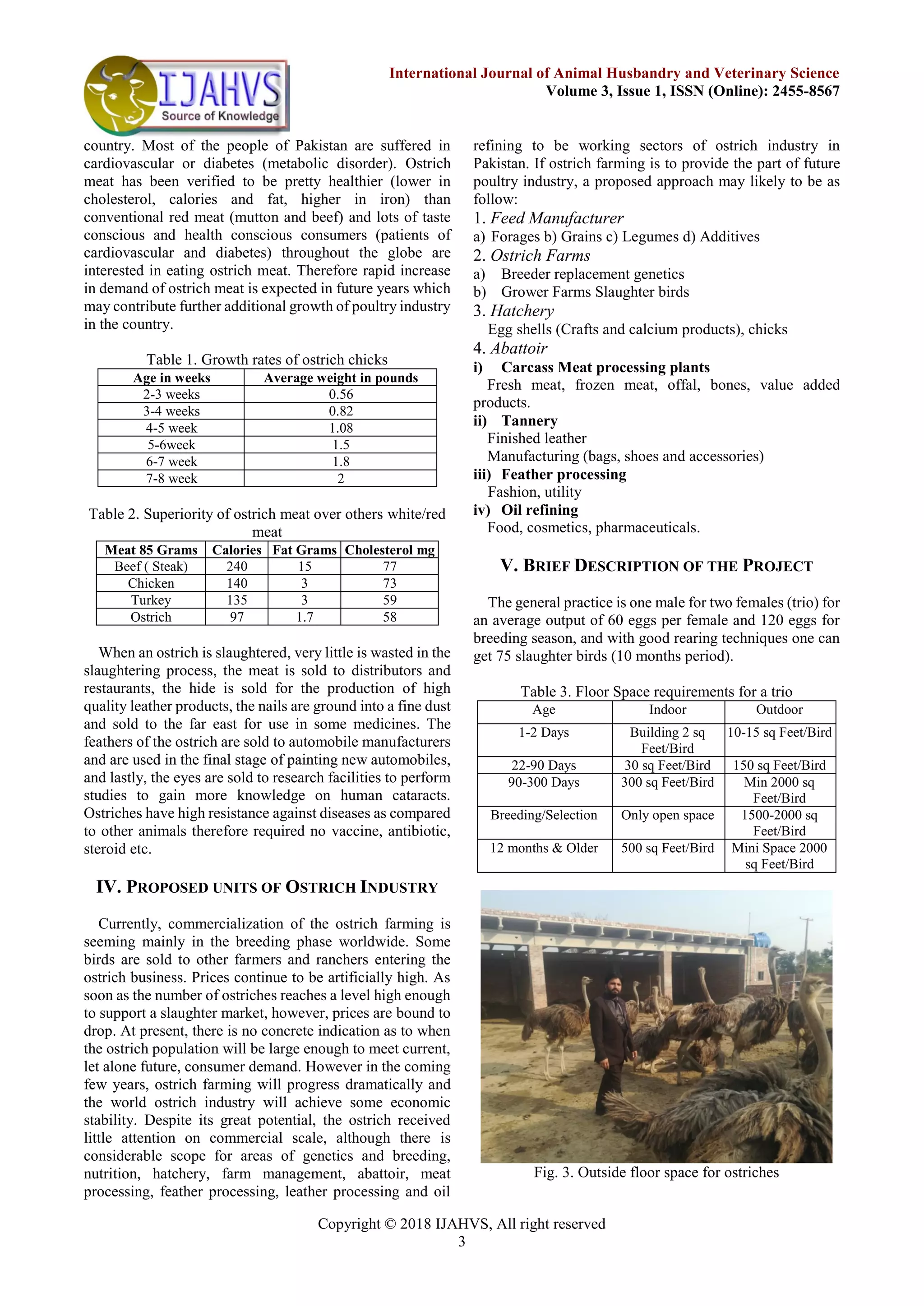 ostrich farming in Pakistan | PDF