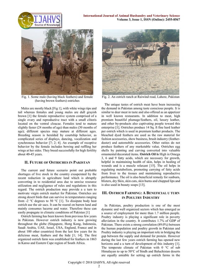 ostrich farming in Pakistan | PDF