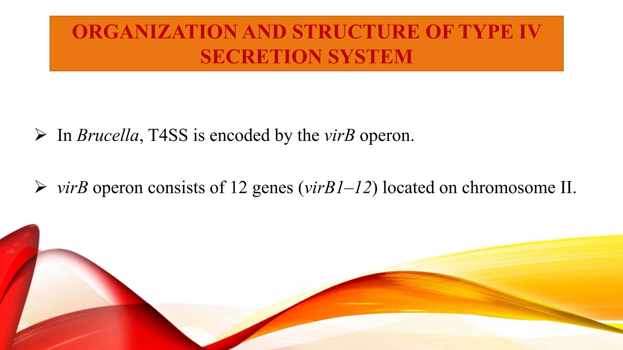 Type IV secretion system In Brucella | PPTX