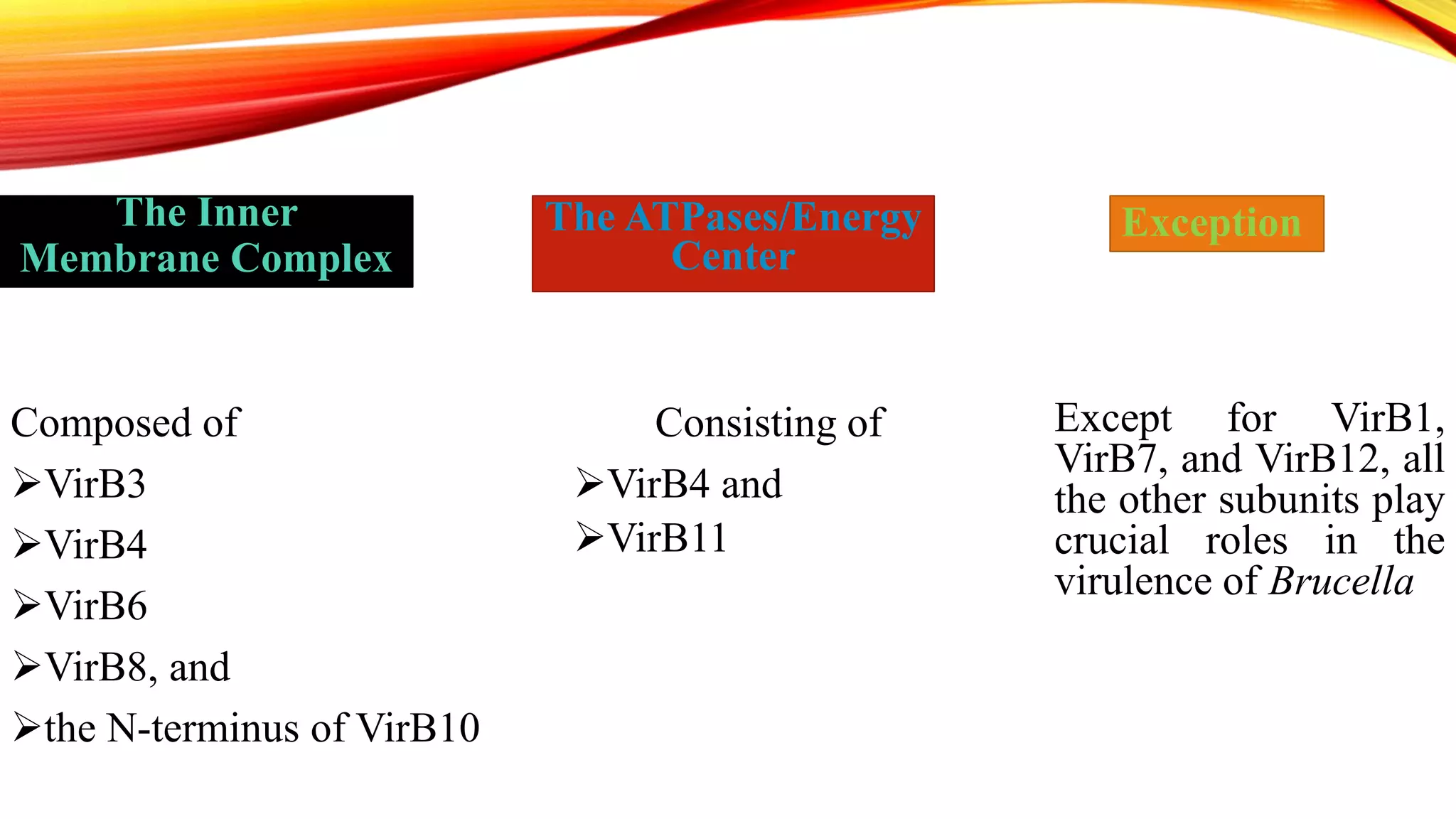 Type IV secretion system In Brucella | PPTX