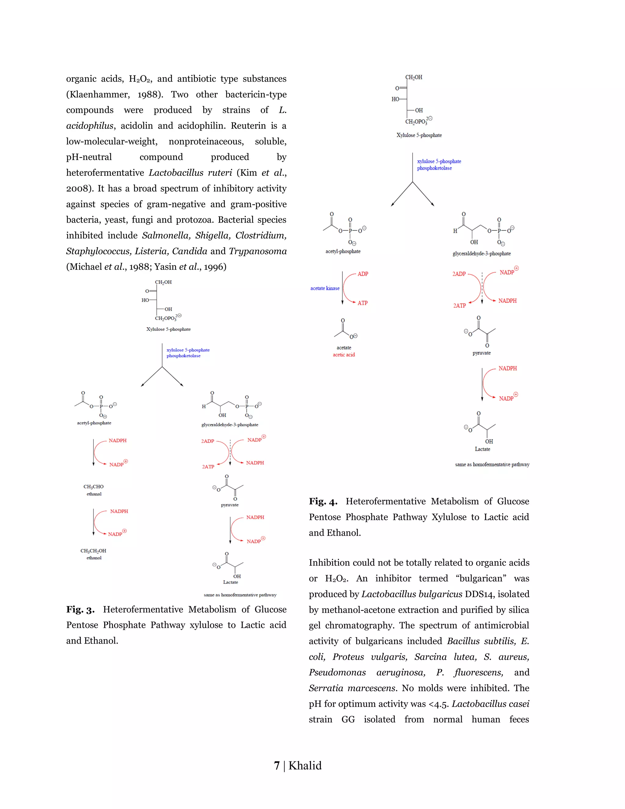 An overview of lactic acid bacteria - IJB | PDF