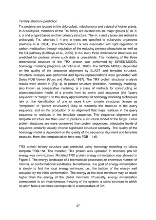 Homology modeling and structure prediction of thioredoxin (TRX) | PDF