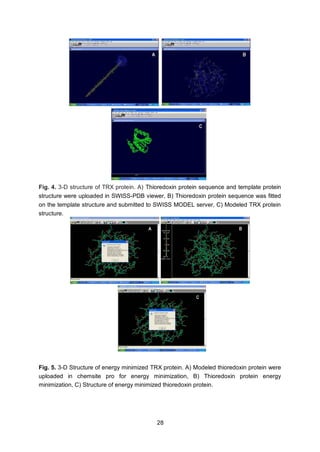 Homology modeling and structure prediction of thioredoxin (TRX) | PDF