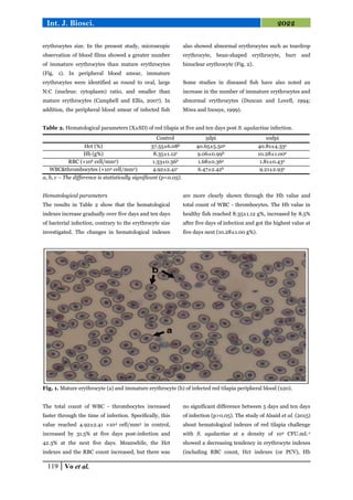 Morphology of erythrocyte and hematological parameters of red tilapia ...