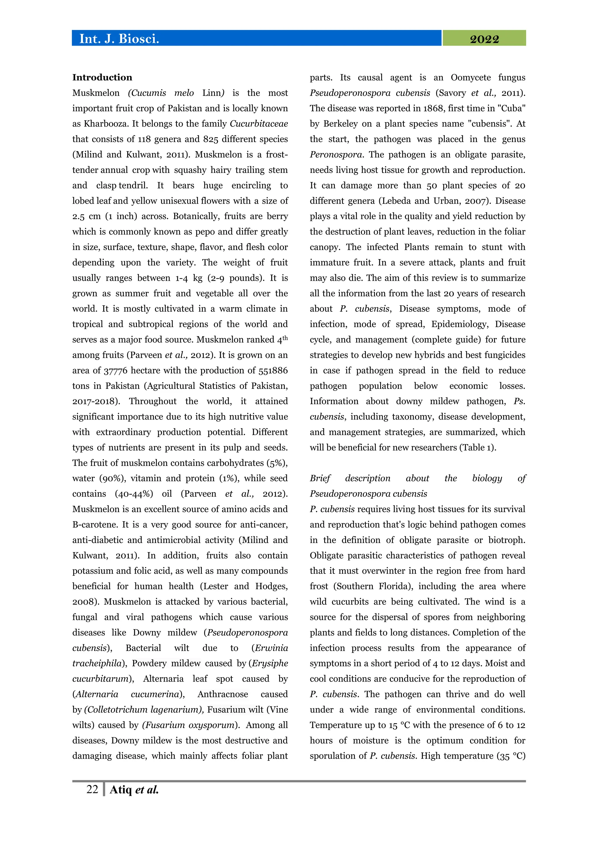 Downy mildew (Pseudoperonospora Cubensis); A devastating phytopathological issue of Muskmelon ...
