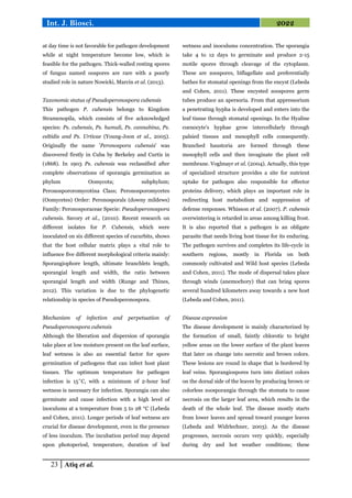 Downy mildew (Pseudoperonospora Cubensis); A devastating phytopathological issue of Muskmelon ...