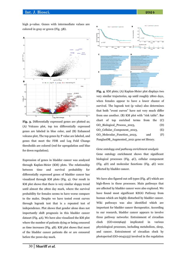 Transcriptome analysis reveals PER2 and CRY2 as biomarkers in bladder cancer and circadian ...