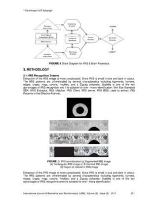 Enhancement of Multi-Modal Biometric Authentication Based on IRIS and Brain Neuro Image Coding | PDF