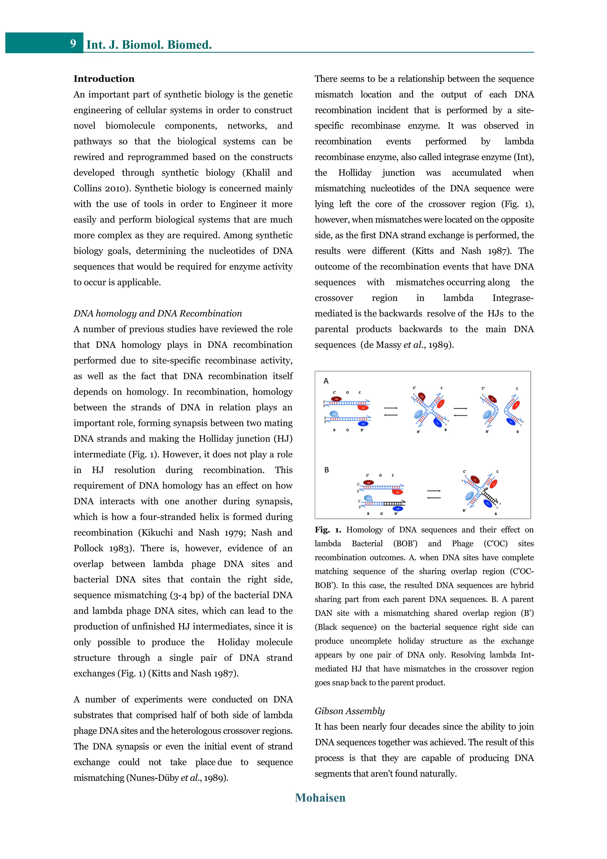 A review of the benefits of using synthetic biology in molecular ...