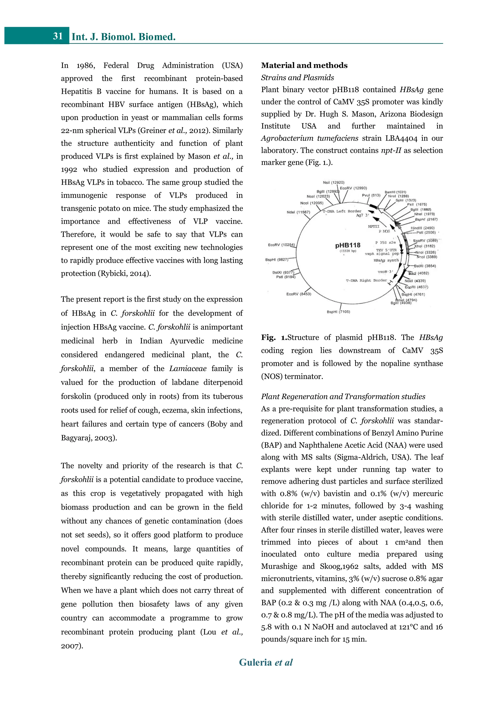 Expression of Hepatitis B Surface Antigen in Coleus forskohlii | PDF