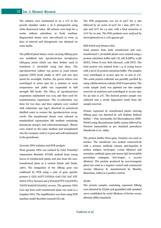 Expression of Hepatitis B Surface Antigen in Coleus forskohlii | PDF