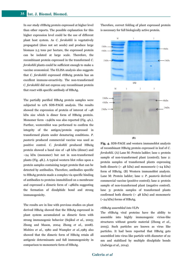 Expression of Hepatitis B Surface Antigen in Coleus forskohlii | PDF