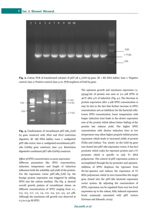 Cloning and expression of Human glutamic acid decarboxylase (GAD 65 ...