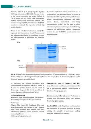 Cloning and expression of Human glutamic acid decarboxylase (GAD 65 ...