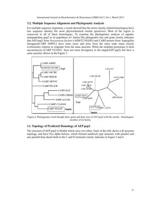 Structural Studies of Aspartic Endopeptidase pep2 from Neosartorya Fisherica Using Homolgy ...